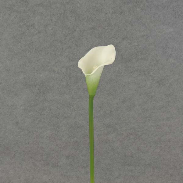 15" CALLA LILY STEM X1 WHITE (EVA MATERIAL) | Hanken